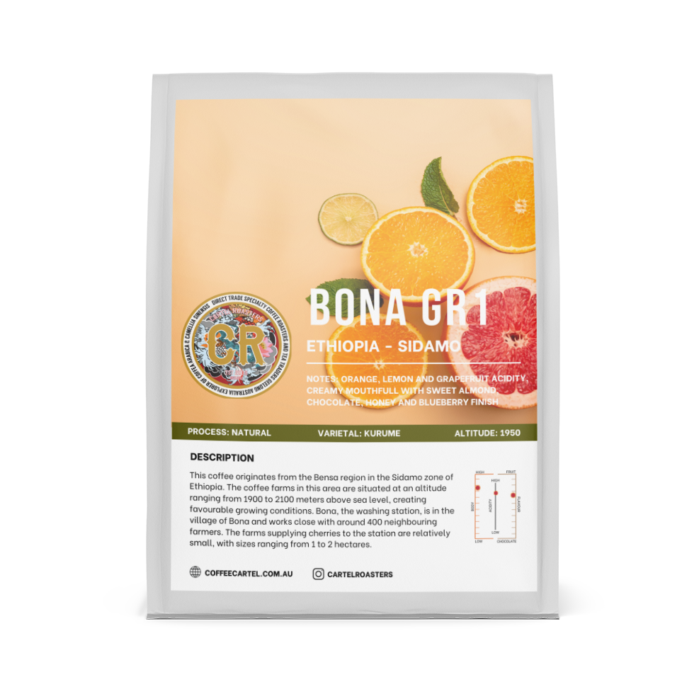 Cartel Roasters - ETHIOPIA BONA GR1 SIDAMO NATURAL – Espresso roast